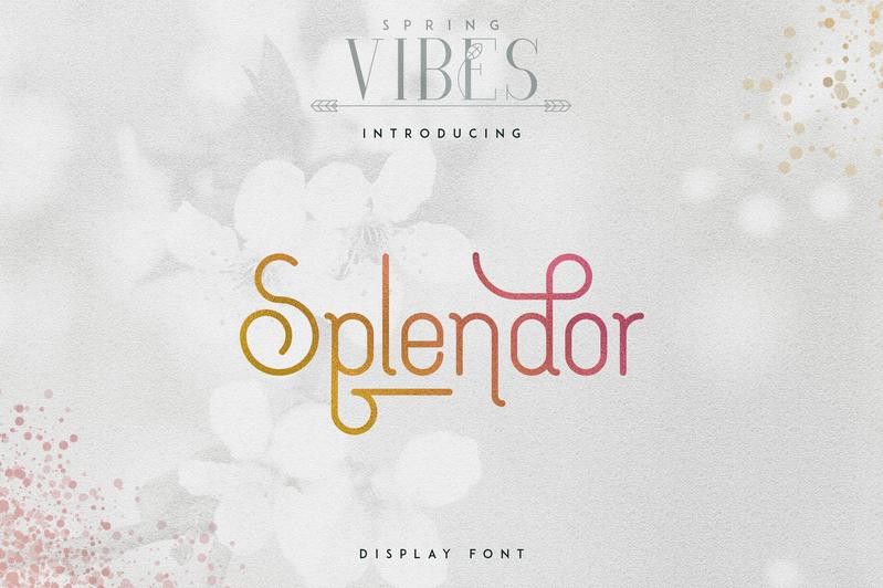 Splendor Display Font | Font Scoop
